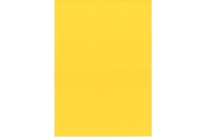 A4 120GSM Aplus 2 Sheet Card 100's (200-Gold)